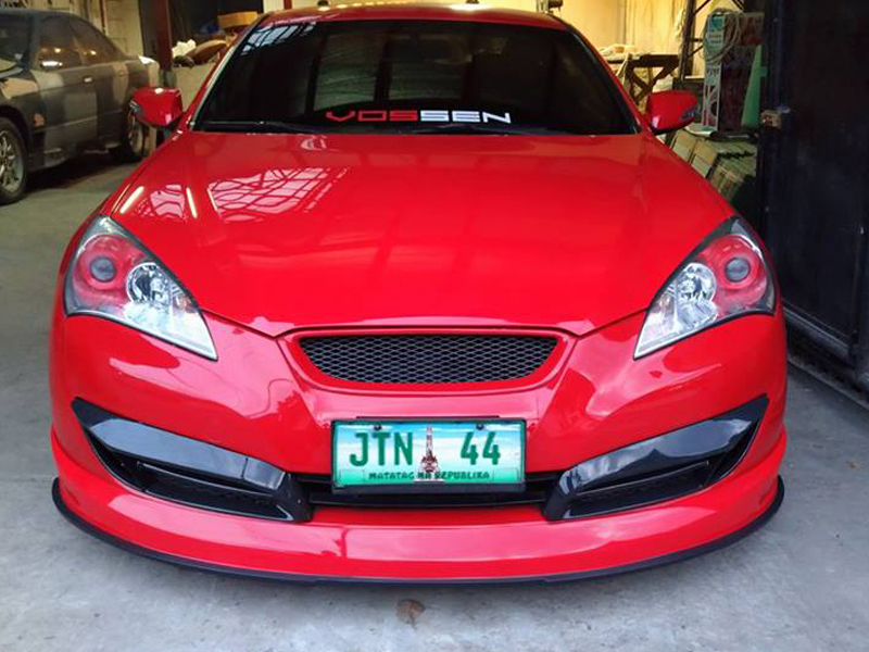 Sarona Design Front Grill (FRP), importshark.com